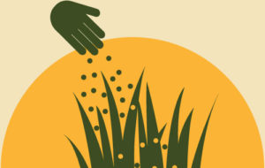 Wormies – Premium Compost Made from Veggies by Worms